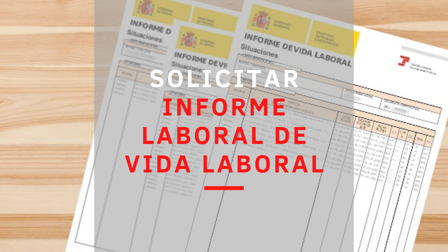 Cómo Obtener El Informe De Vida Laboral De Una Empresa 2023